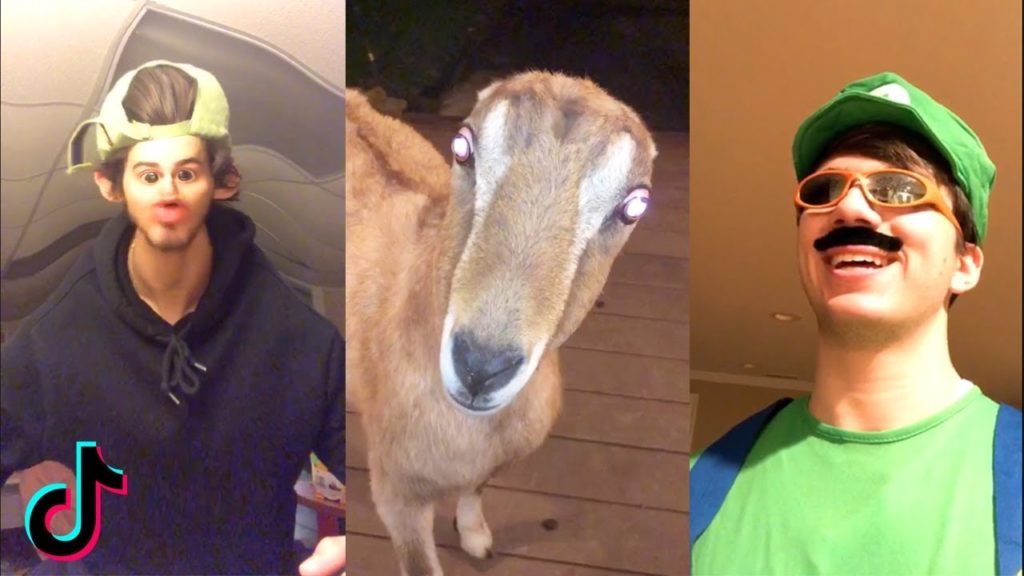 Funny TIK TOK Videos Compilation | Ironic Memes & Cringe – buzzlook